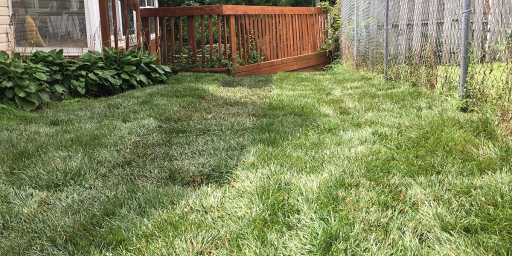 Sod Installation - Odd Jobs Landscape & Pavers | Brick Pavers ...